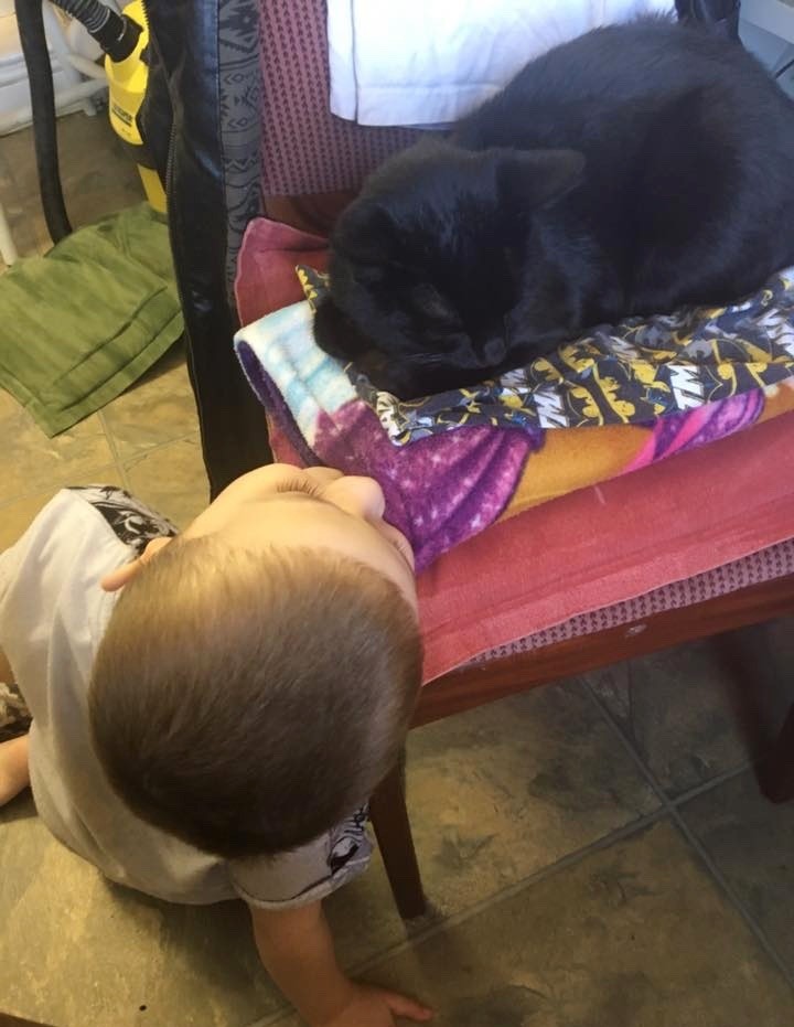 autis tdk menghalangi utk lbh mencintai kucing | sharing is caring